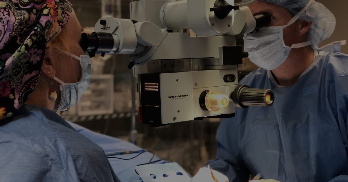 Sperm Extractions: Sperm Extraction & Retrieval Procedures: PESA | TESA ...