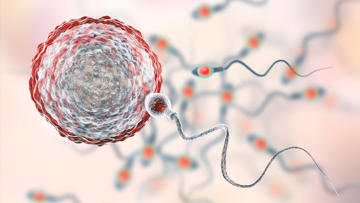 Fertility Treatments: IUI, IVF, Donor Eggs & Sperm, Surgeries and More