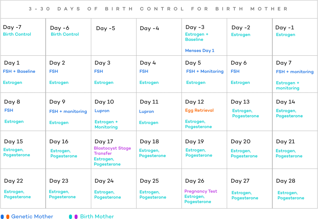 Reciprocal IVF: What It Is, How It Works & What It Costs