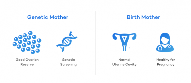 Reciprocal IVF: What It Is, How It Works & What It Costs