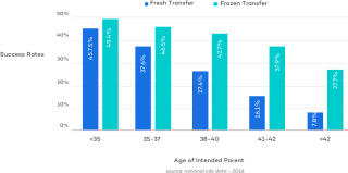 Embryo Transfer: Types, Process, Costs, FAQs, and More