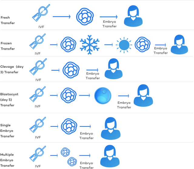 Embryo Transfer: Types, Process, Costs, FAQs, and More
