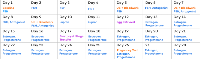 Embryo Transfer: Types, Process, Costs, FAQs, and More