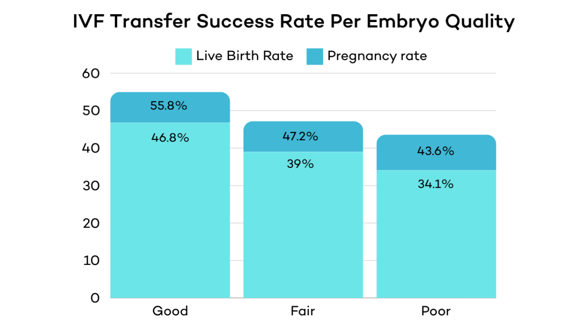 Everything You Need to Know About the IVF Funnel