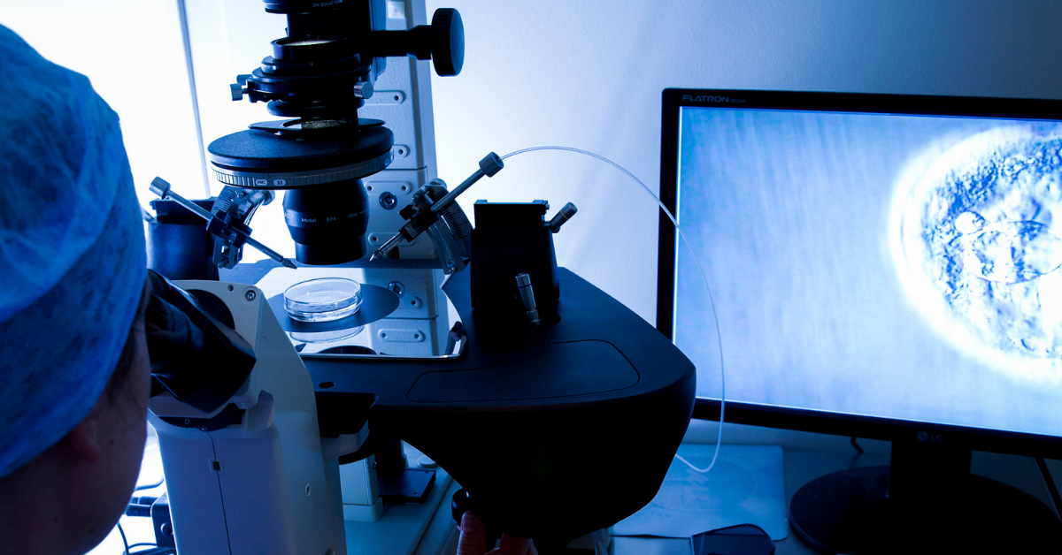 Day 3 Vs Day 5 Embryo Transfer: Which Is Best for IVF?