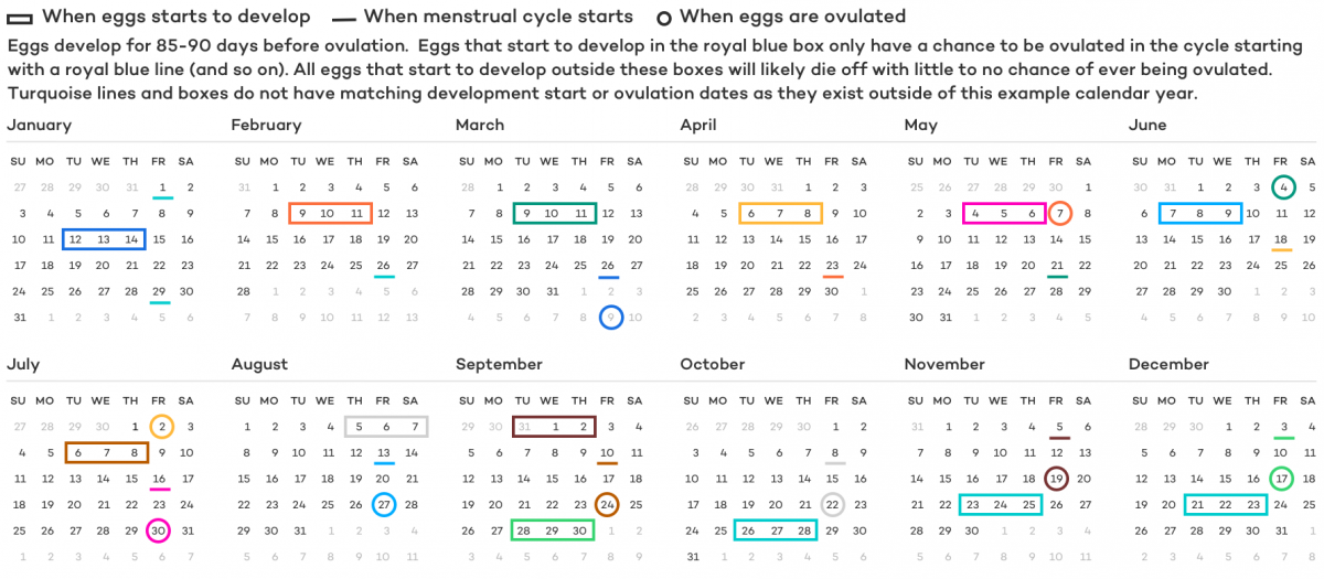 How Many Eggs Do Women Have At Every Age - CNY Fertility