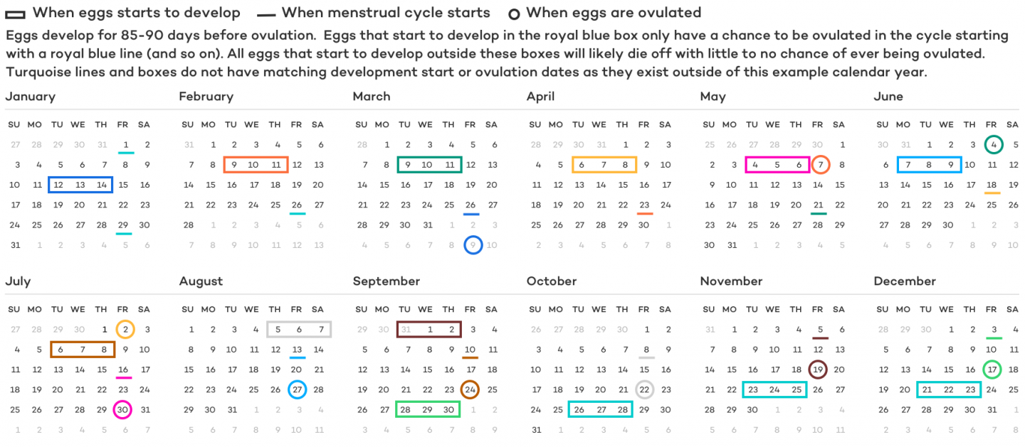 How Many Eggs Do Women Have At Every Age - CNY Fertility