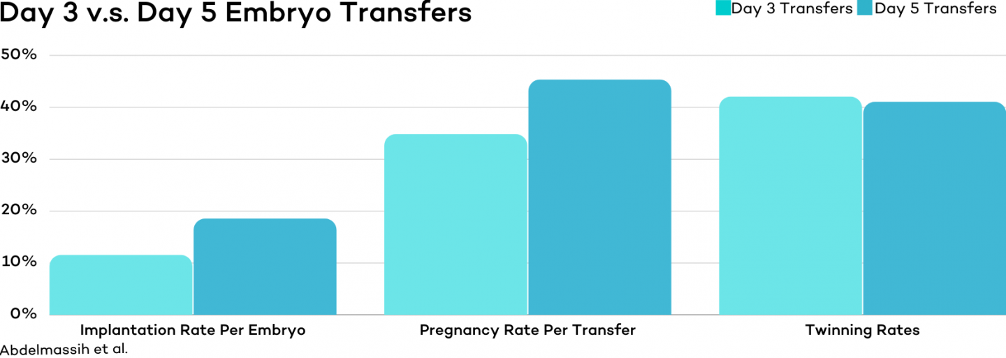 Day 3 Vs Day 5 Embryo Transfer: Which Is Best for IVF?