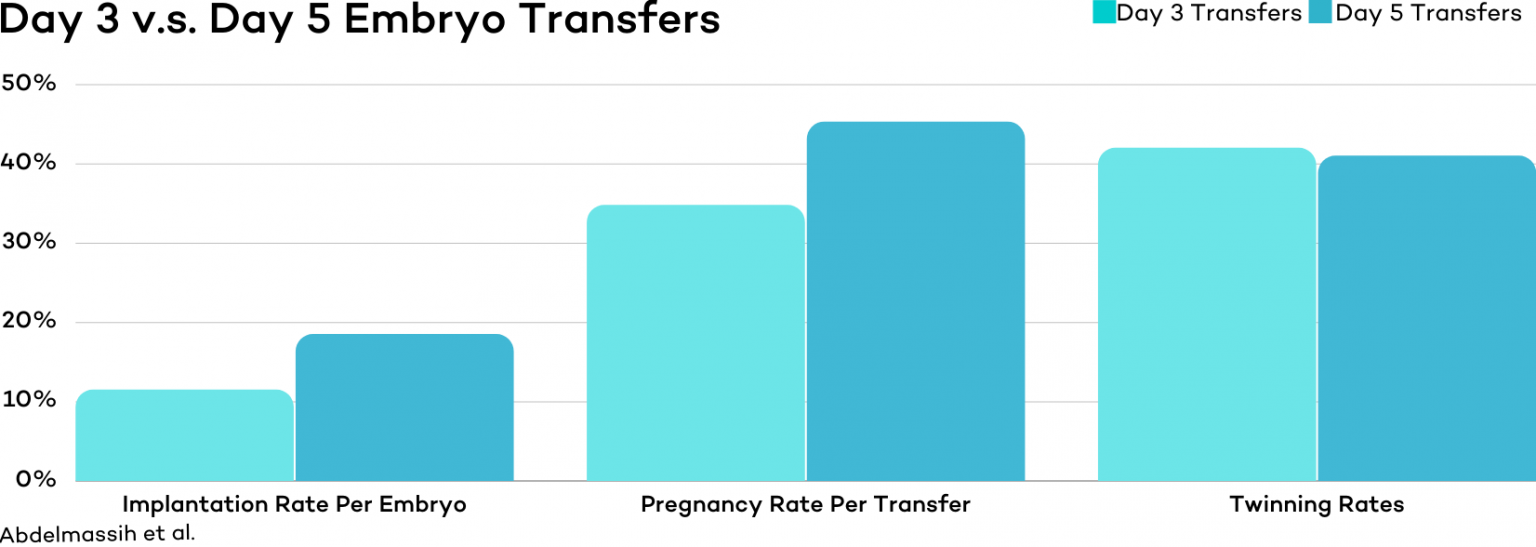 Day 3 Vs Day 5 Embryo Transfer: Which Is Best for IVF?