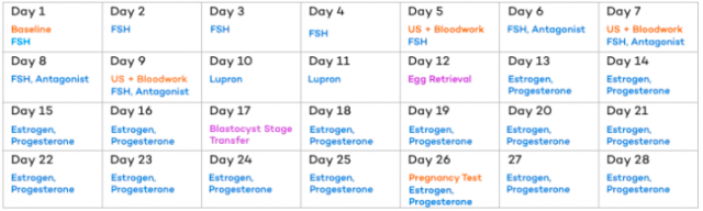 Fresh and Frozen Embryo Transfers - Choosing the Right Option for You!