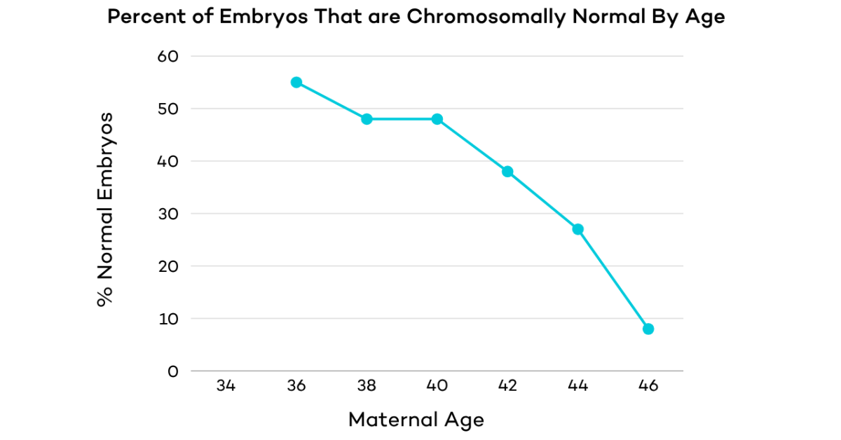 Everything You Need to Know About the IVF Funnel