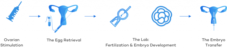 The IVF Process - Everything You Need to Know - CNY Fertility