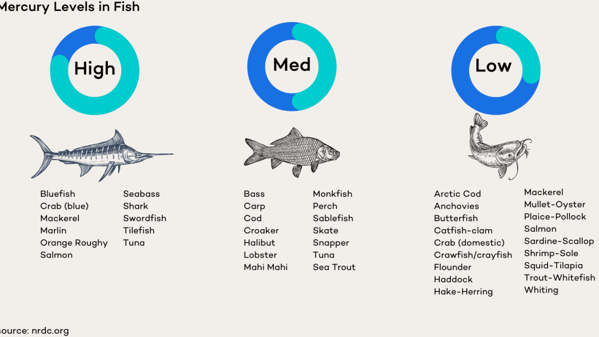 Mercury Content In Fish Chart
