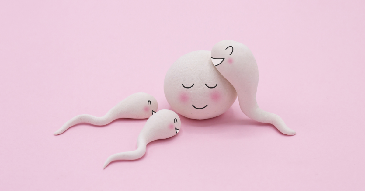 Natural Fertility: The Essential Guide to Improving Your Fertility ...