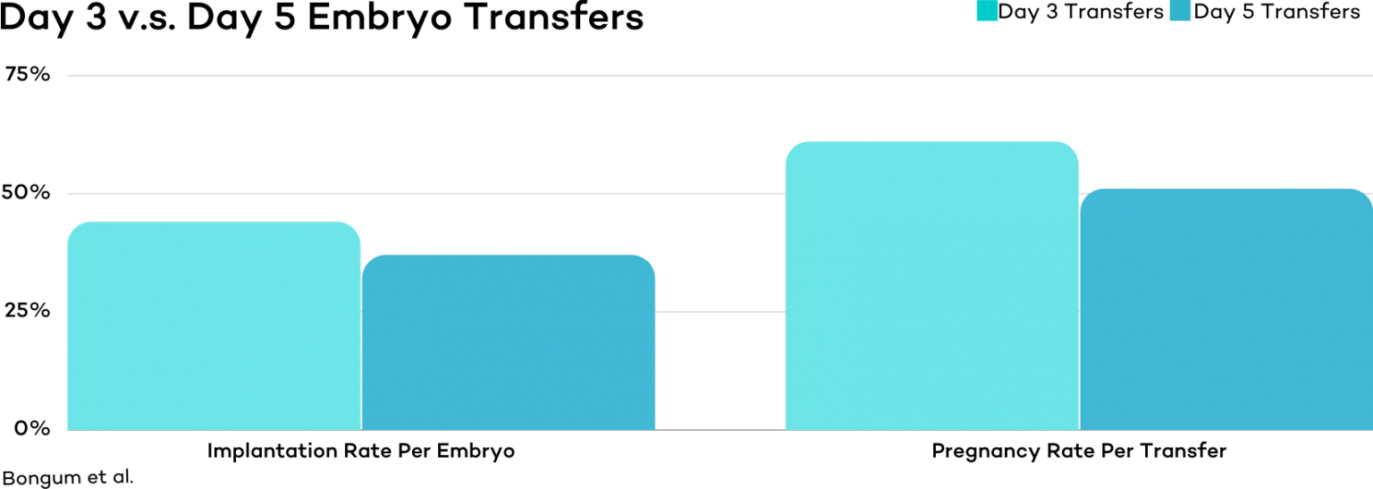 Day 3 Vs Day 5 Embryo Transfer: Which Is Best for IVF?
